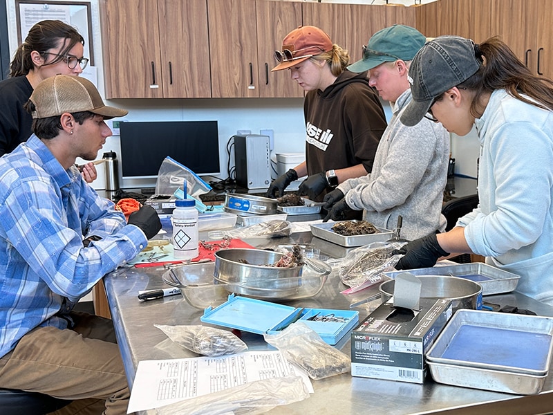 Research Projects - Rolling Plains Quail Research Foundation