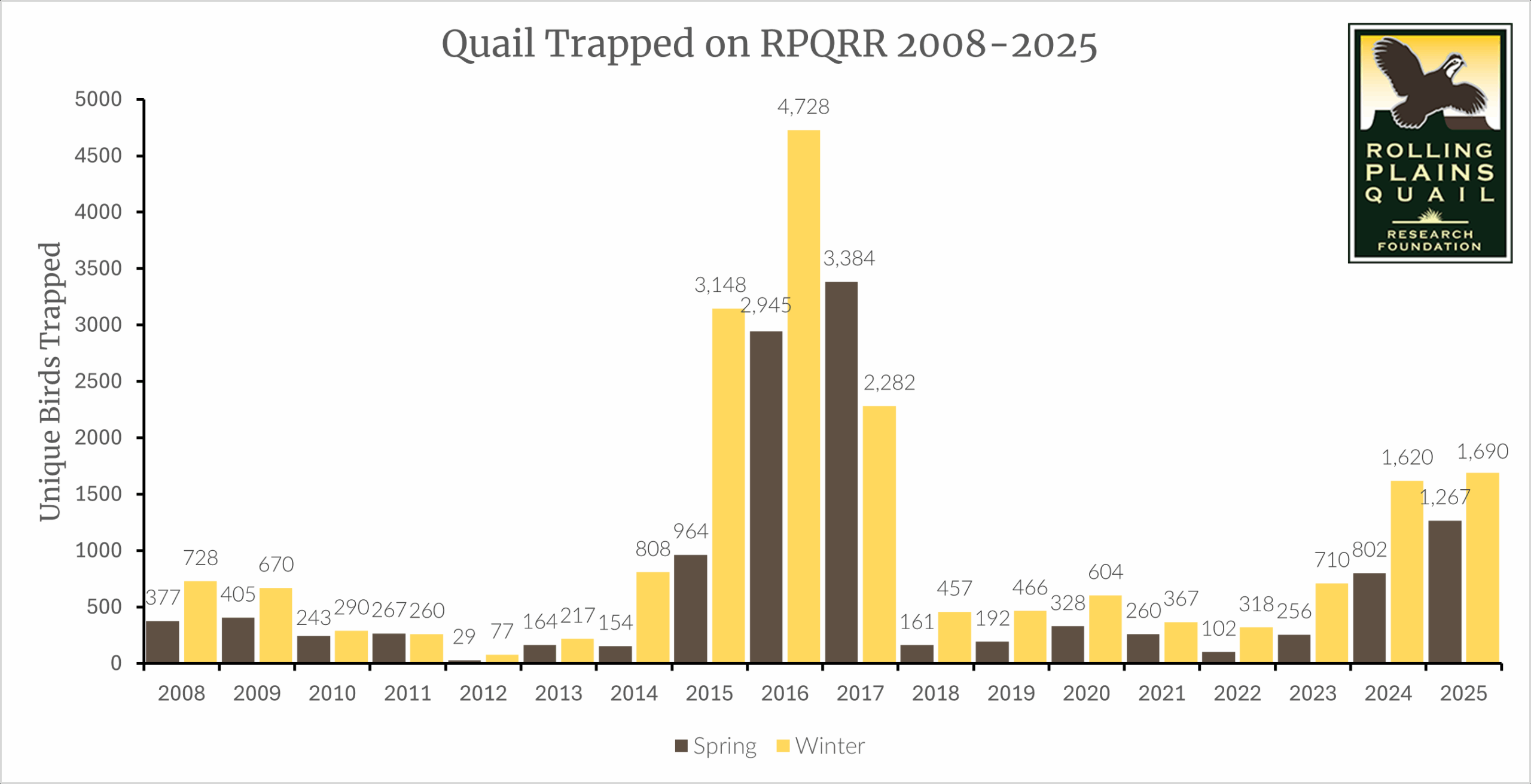 Fall 2025 Quail Trapping Update - Rolling Plains Quail Research Foundation